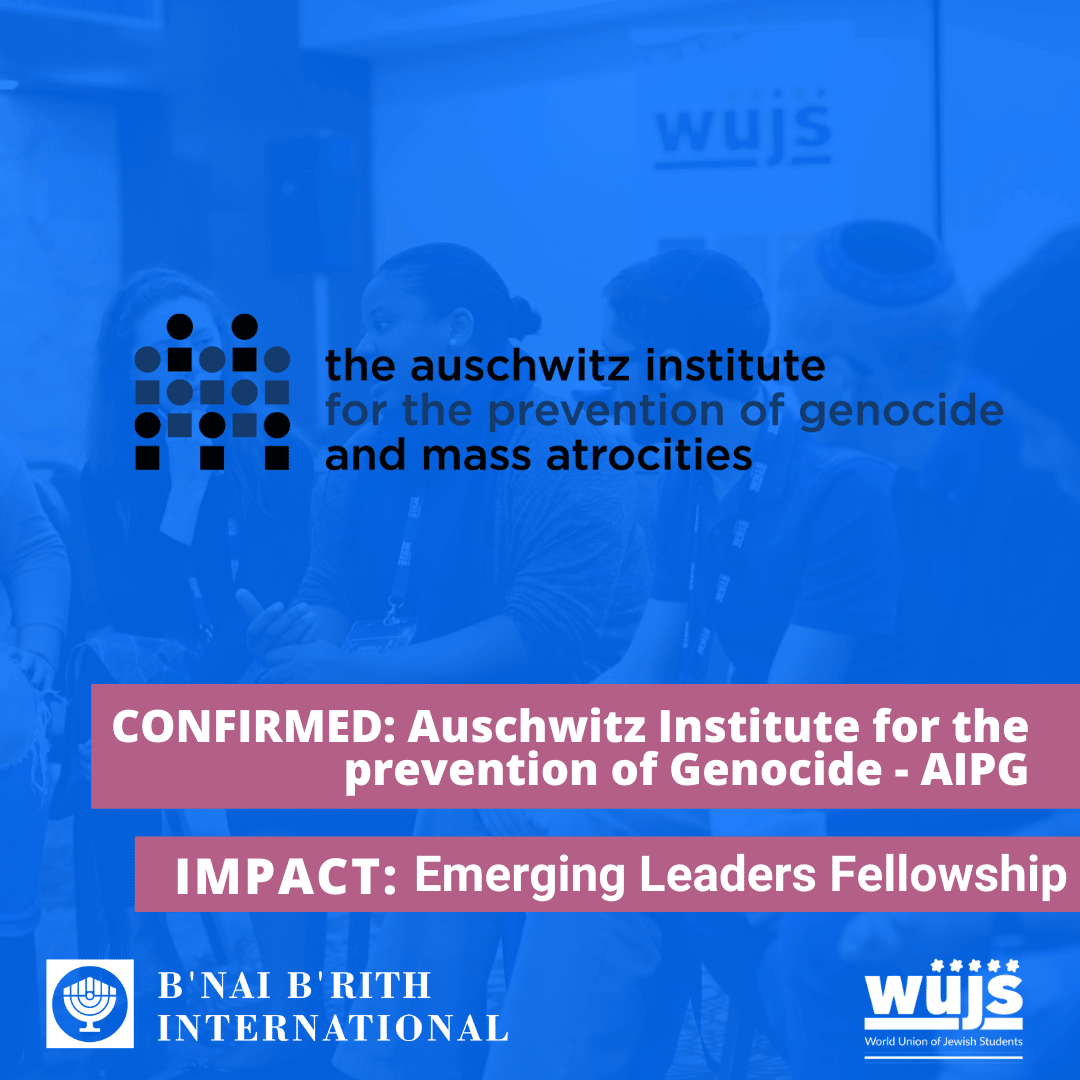IMPACT: Emerging Leaders Fellowship - B'nai B'rith International